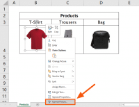 How to Insert Pictures Into Excel Cells (Quick and Easy)