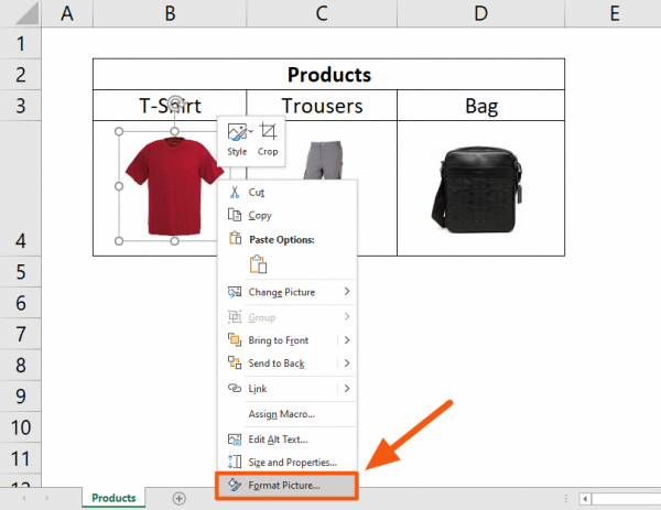 How to Insert Pictures Into Excel Cells (Quick and Easy)