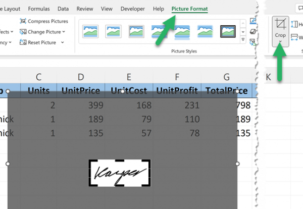 How to Insert a Digital Signature in Excel - 3 Methods