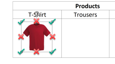 How to Insert Pictures Into Excel Cells (& Make Them Fit)