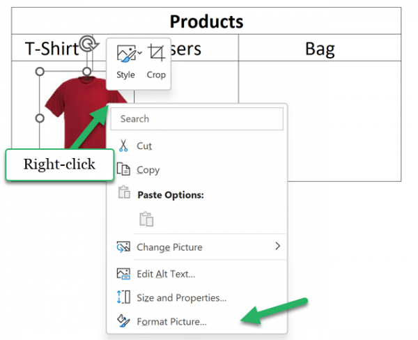 How to Insert Pictures Into Excel Cells (& Make Them Fit)