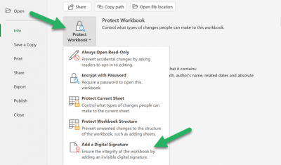 How to Insert a Digital Signature in Excel - 3 Methods