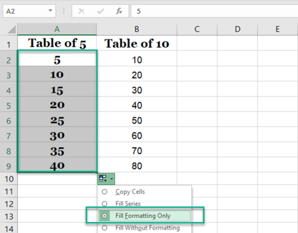 How to Use the Format Painter in Excel: Copy Formatting (2024)