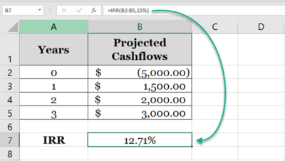 How to Use the IRR function in Excel: Step-by-Step (2024)