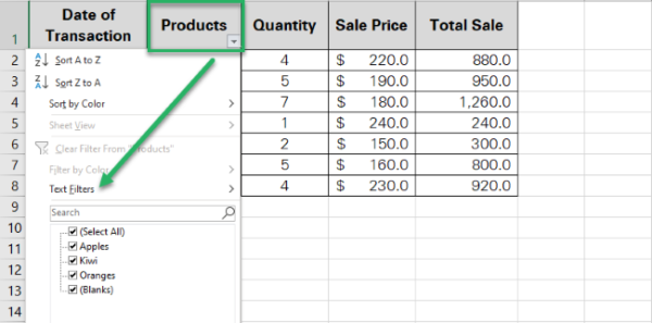 How to Add a Filter in Excel (Step-by-Step)