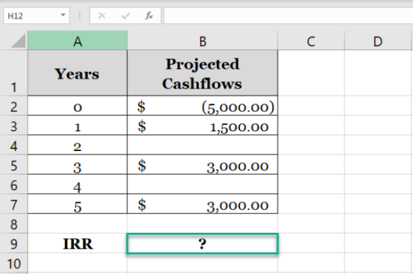 How to Use the IRR function in Excel: Step-by-Step (2024)