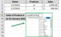 How to Use the Subtotal Function in Excel: Step-By-Step