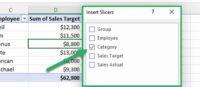 How to Insert a Slicer in Excel Pivot Table (2024)