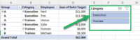 How to Insert a Slicer in Excel Pivot Table (2024)