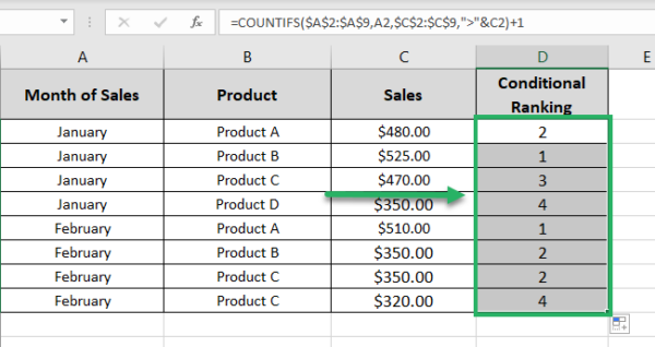 How to do RANK IF in Excel to Rank With Condition (2024)