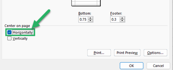 How to Center a Worksheet Horizontally in Excel