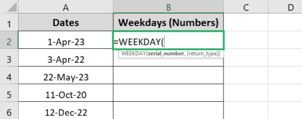 Day of Week in Excel: WEEKDAY Function Explained (2023)