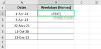 Day of Week in Excel: WEEKDAY Function Explained (2023)