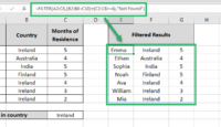 How to Use the FILTER Function in Excel + Examples (2024)