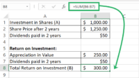 How to Use The ROI Formula in Excel (Step-by-Step)