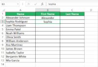 Auto-Populate Data in Excel Based on Another Cell - Spreadsheeto