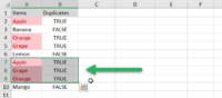 How to Find Duplicates in Excel Using a Formula - Spreadsheeto